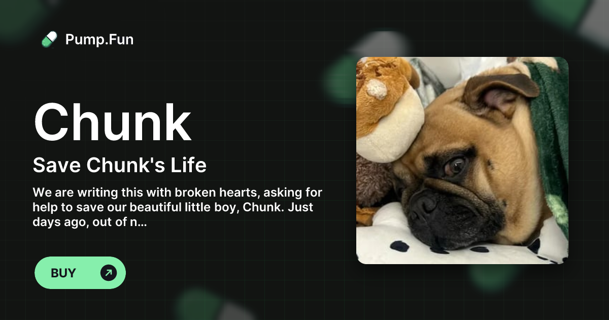 Save Chunk's Life (Chunk) - Pump