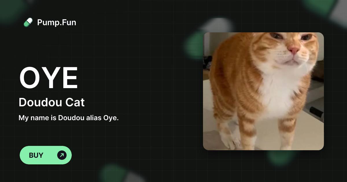 Doudou Cat (OYE) - Pump