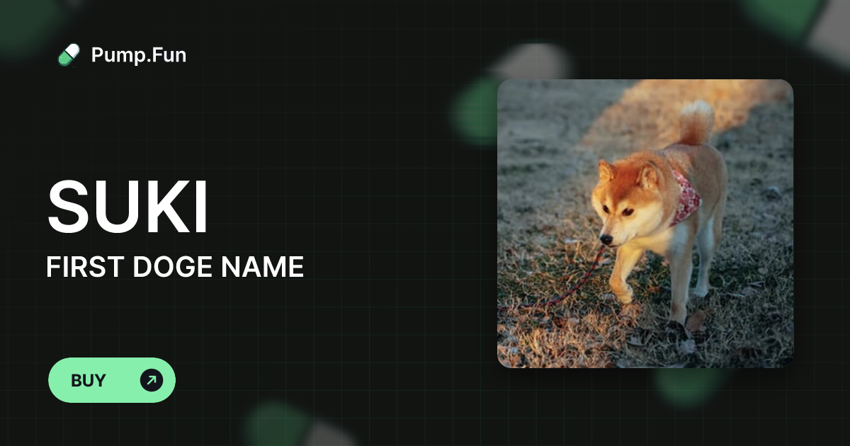 FIRST DOGE NAME (SUKI) - Pump
