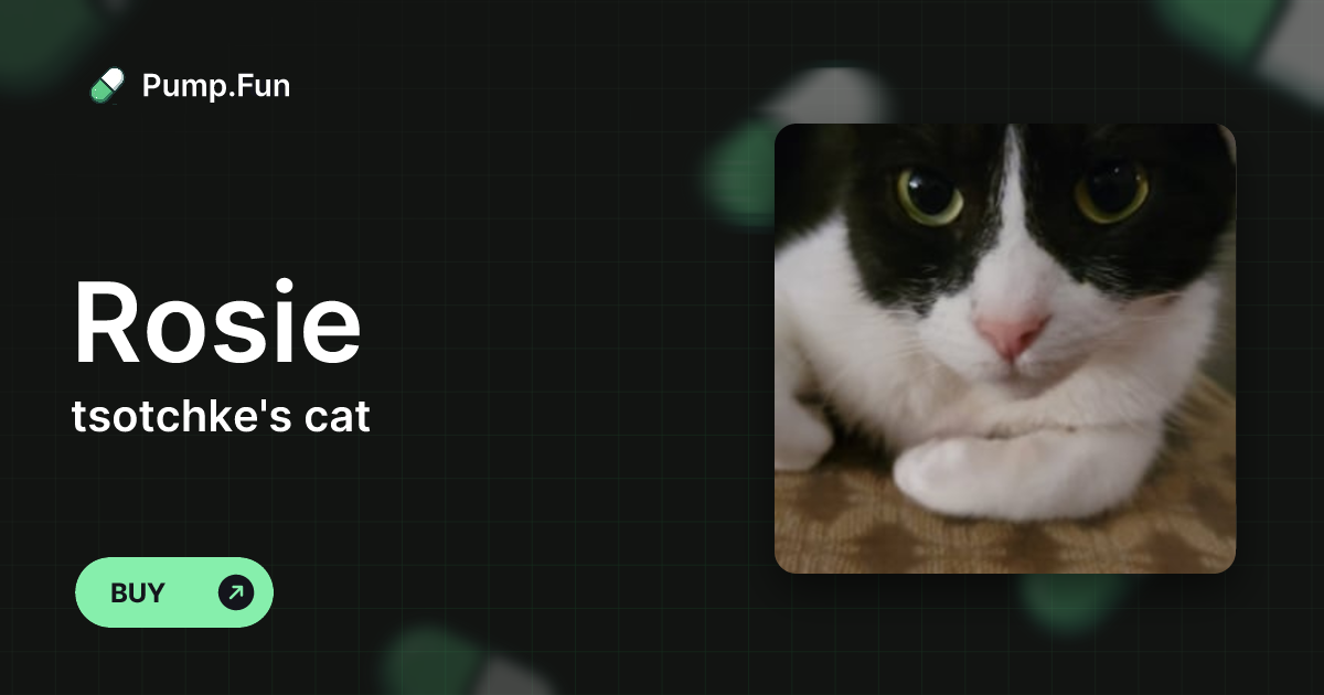 tsotchke's cat (Rosie) - Pump