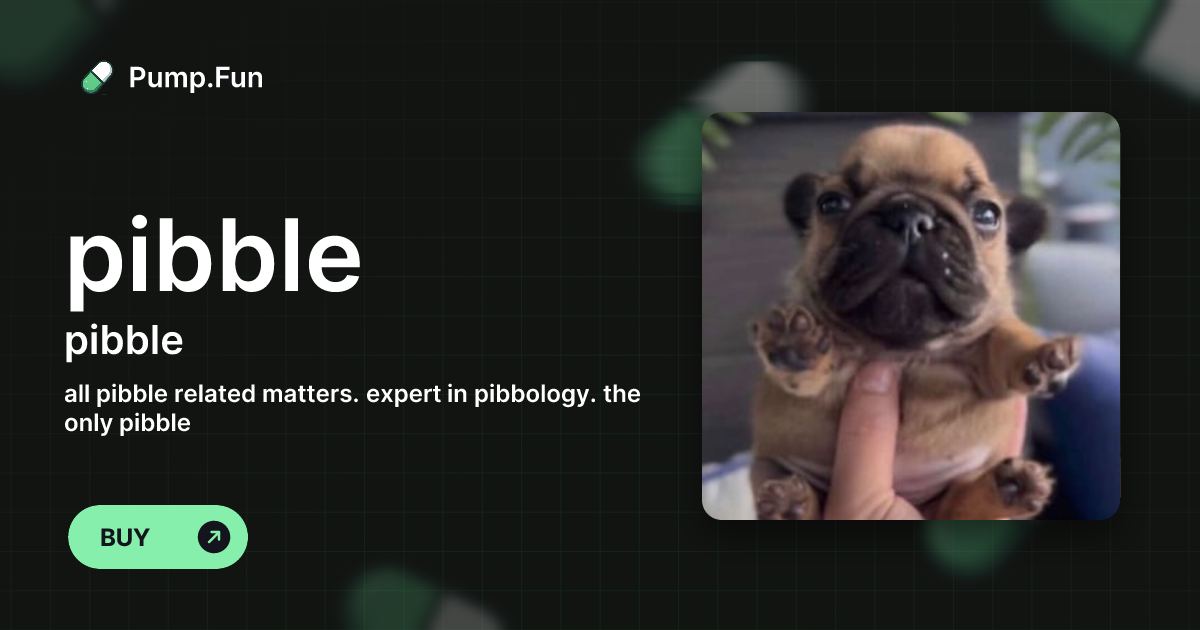 pibble (pibble) - Pump