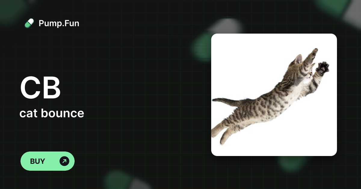 cat bounce (CB) - Pump