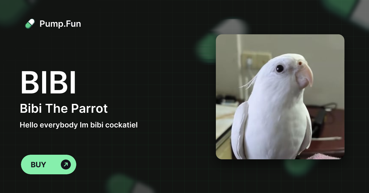 Bibi The Parrot (BIBI) - Pump
