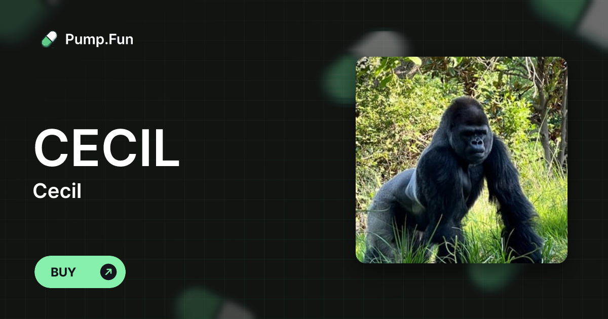 Cecil (CECIL) - Pump