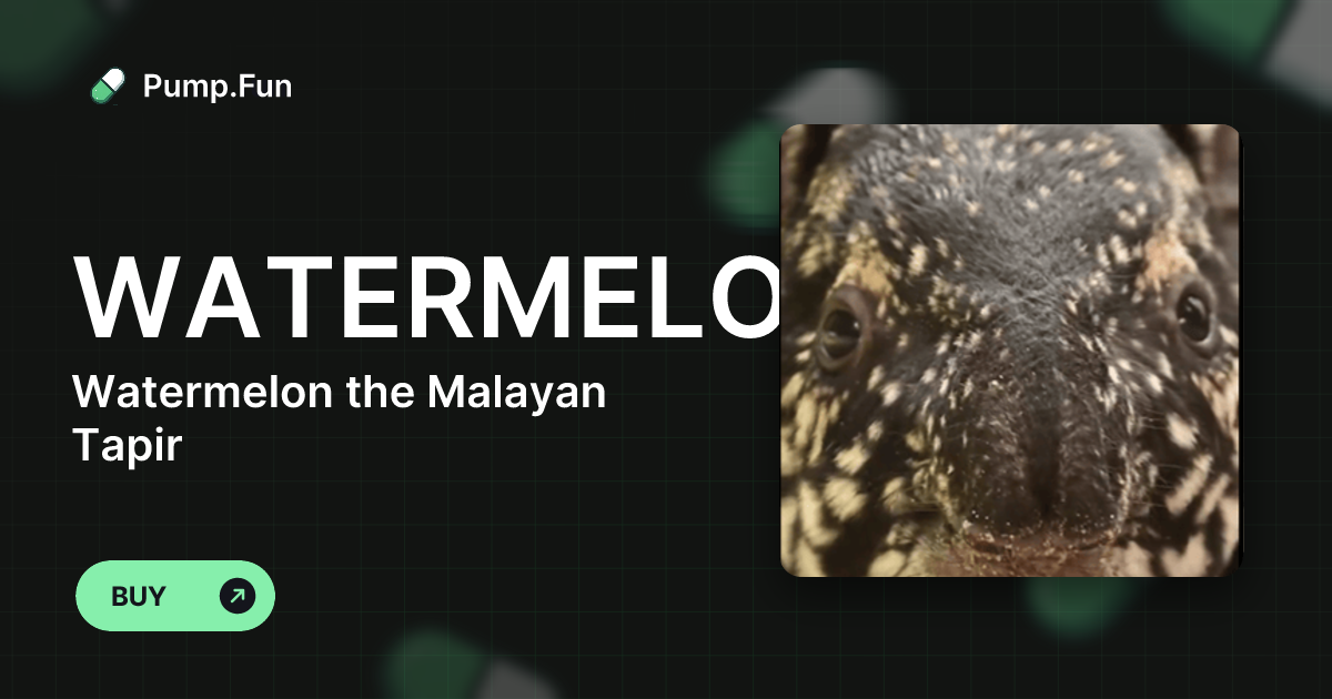 Watermelon the Malayan Tapir (WATERMELON) - Pump