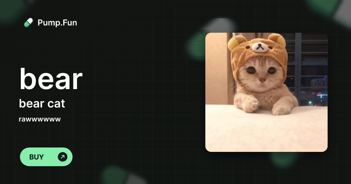 bear cat (bear) - Pump