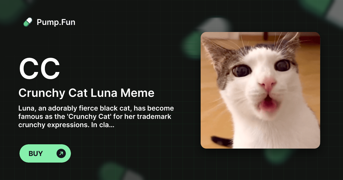 Crunchy Cat Luna Meme (CC) - Pump