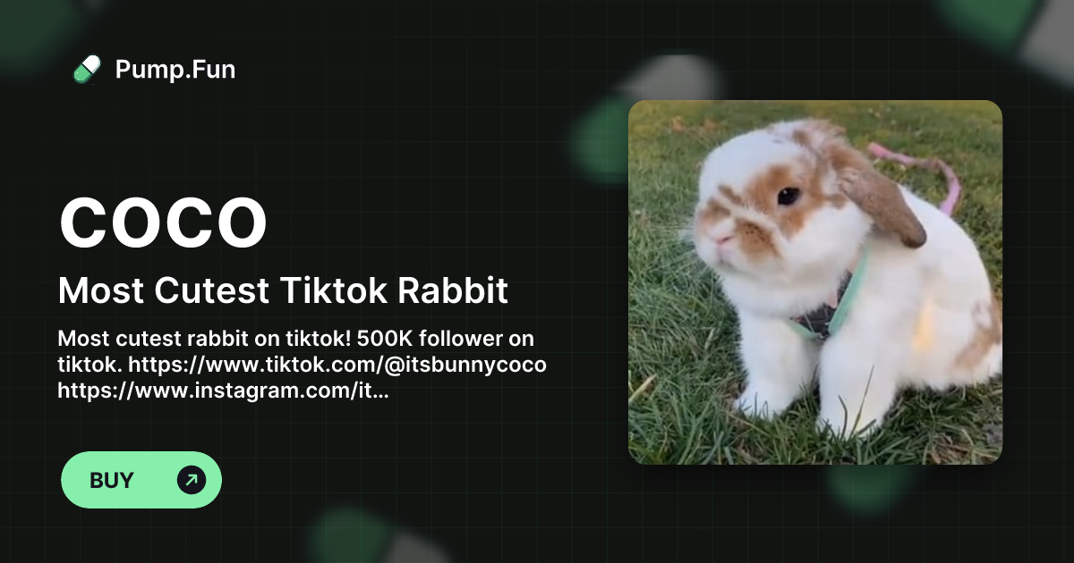 Most Cutest Tiktok Rabbit (coco) - Pump