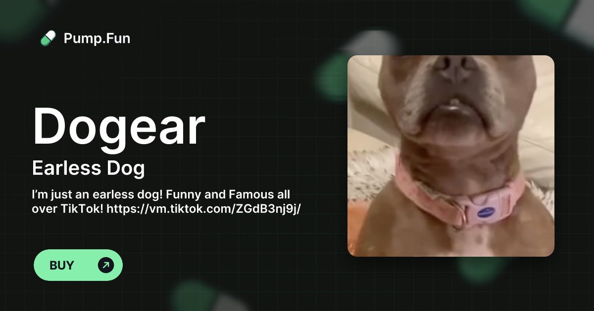 Earless Dog (Dogear) - Pump