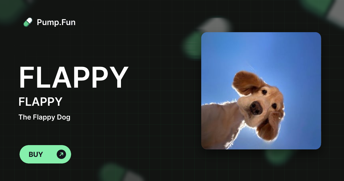 FLAPPY (FLAPPY) - Pump