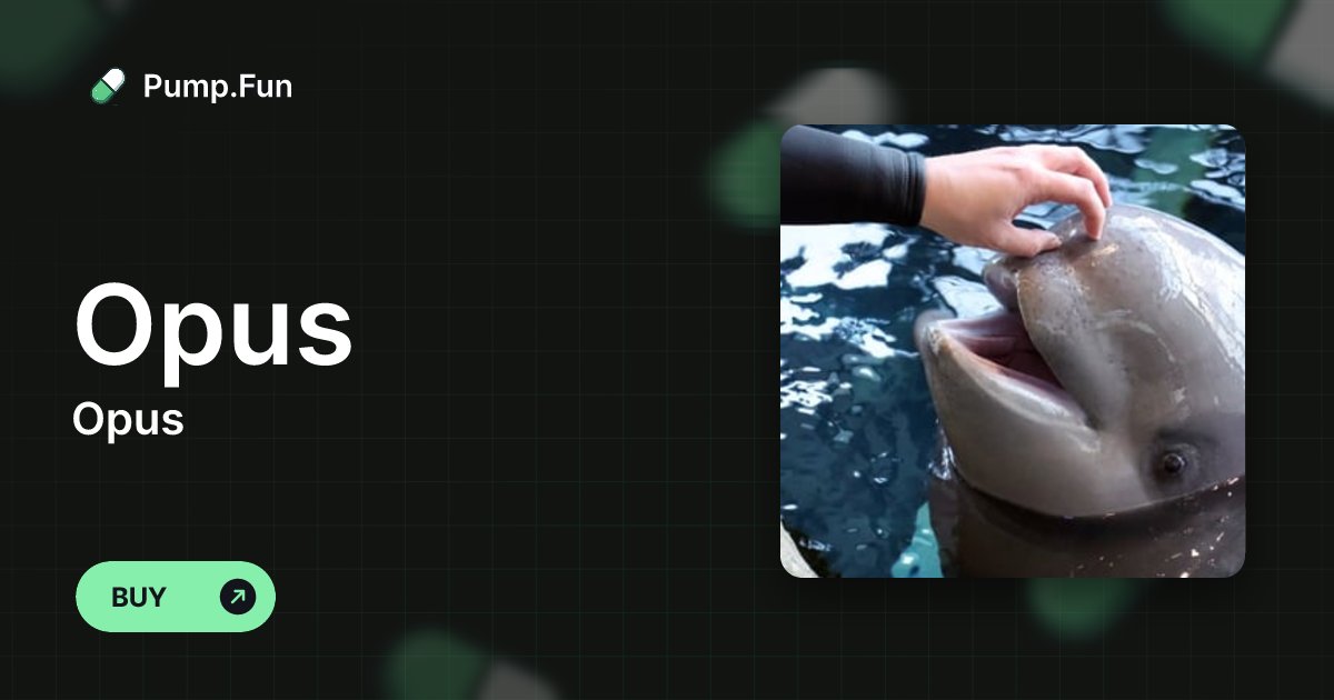 Opus (Opus) - Pump