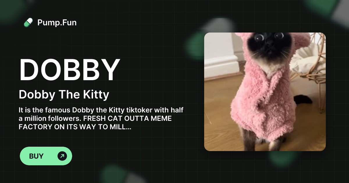 Dobby The Kitty (DOBBY) - Pump