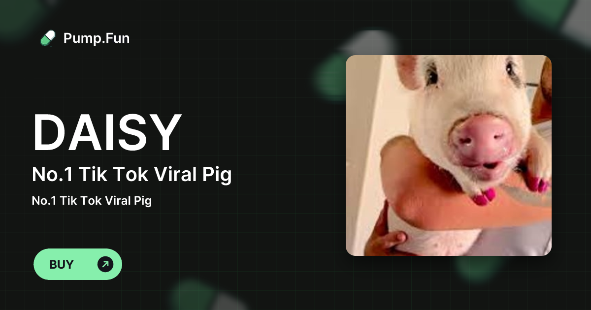 No.1 Tik Tok Viral Pig (DAISY) - Pump
