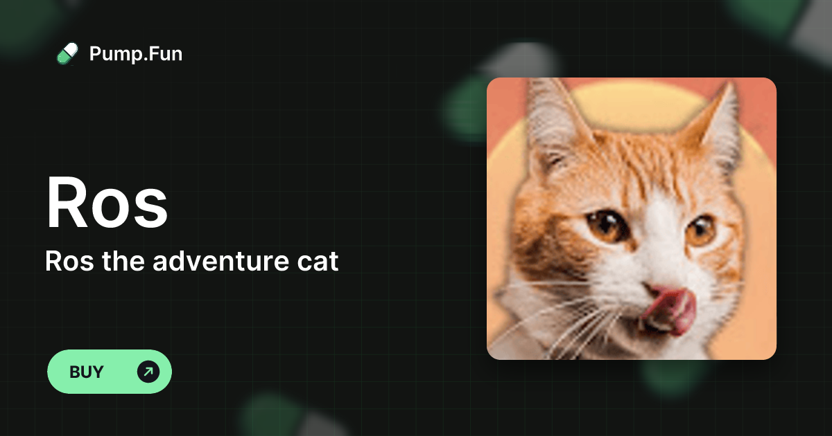 Ros the adventure cat (Ros) - Pump