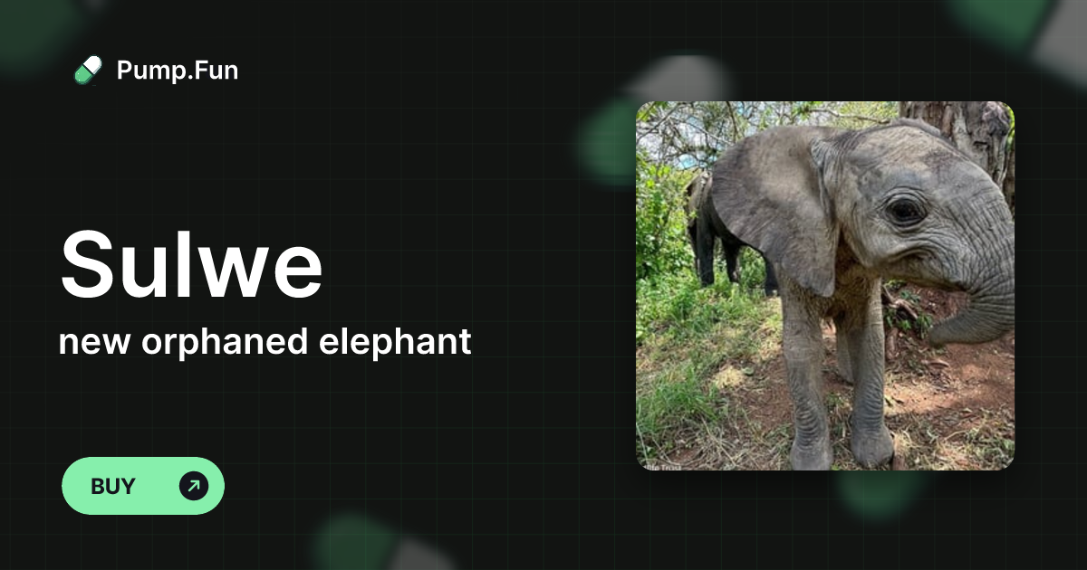 new orphaned elephant (Sulwe) - Pump