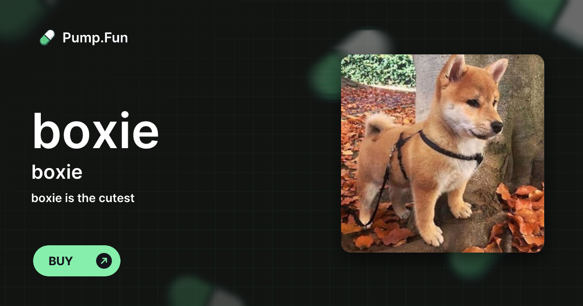 boxie (boxie) - Pump