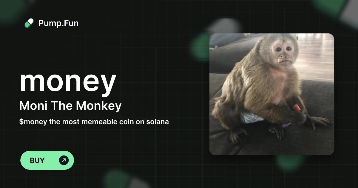 Moni The Monkey (money) - Pump
