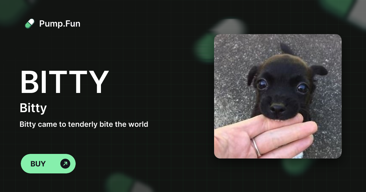 Bitty (BITTY) - Pump