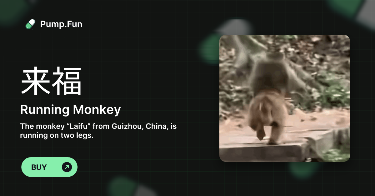 Running Monkey (来福) - Pump