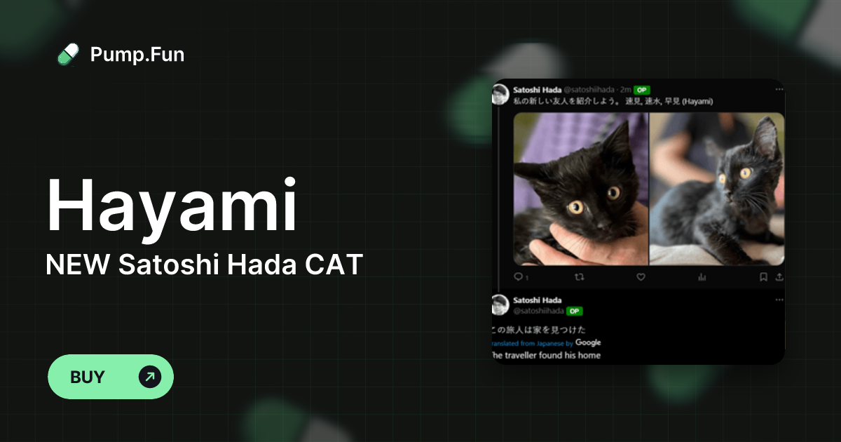 NEW Satoshi Hada CAT (Hayami) - Pump