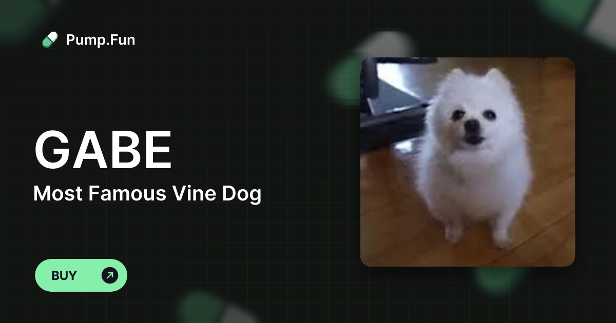 Most Famous Vine Dog (GABE) - Pump