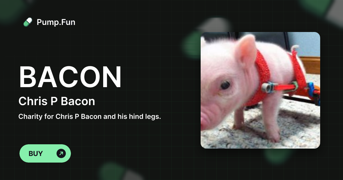 Chris P Bacon (BACON) - Pump