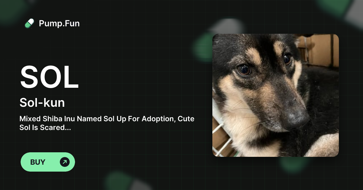 Sol-kun (SOL) - Pump