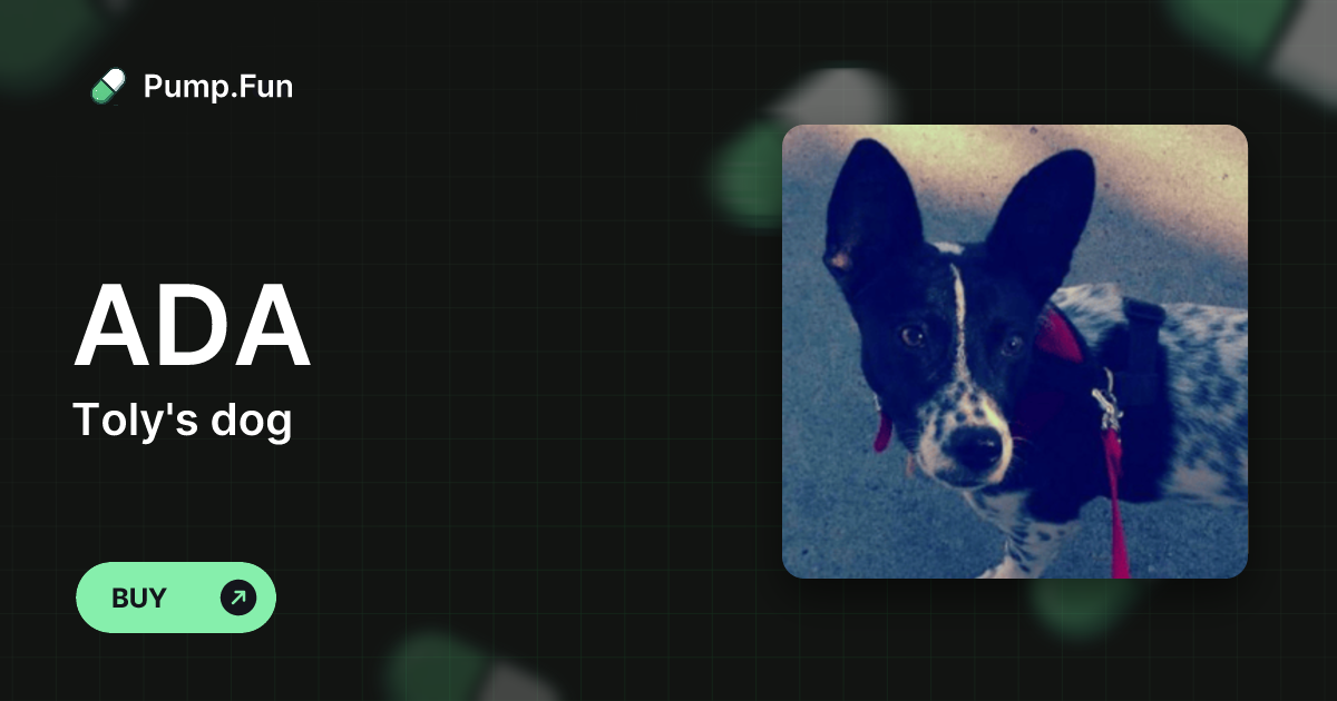 Toly's dog (ADA) - Pump