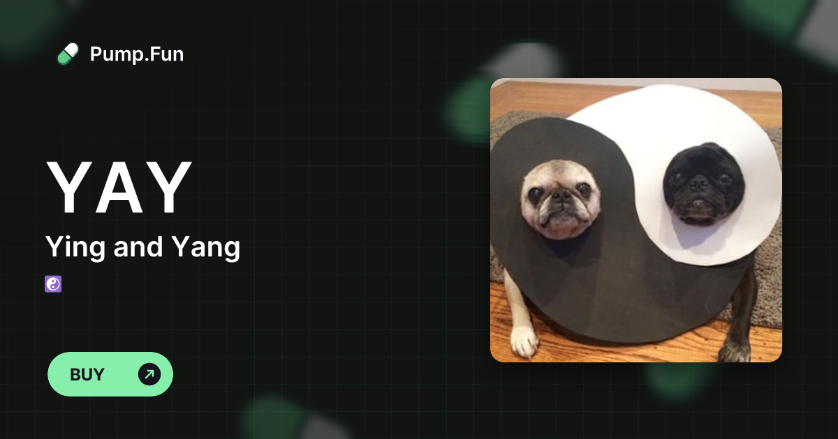 Ying and Yang (YAY) - Pump