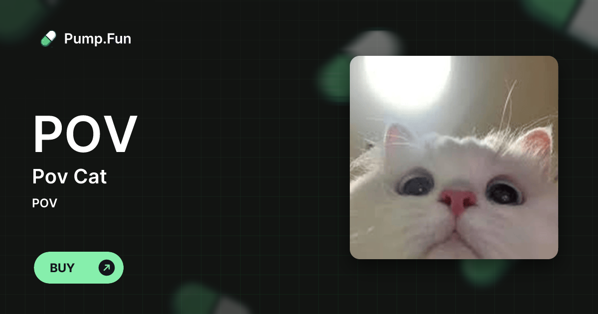 Pov Cat (POV) - Pump