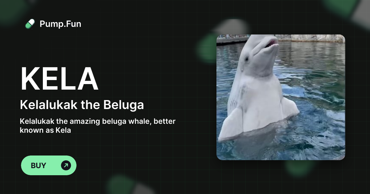 Kelalukak the Beluga (KELA) - Pump