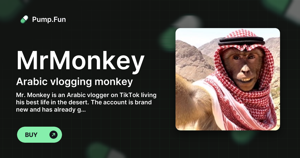 Arabic vlogging monkey (MrMonkey) - Pump