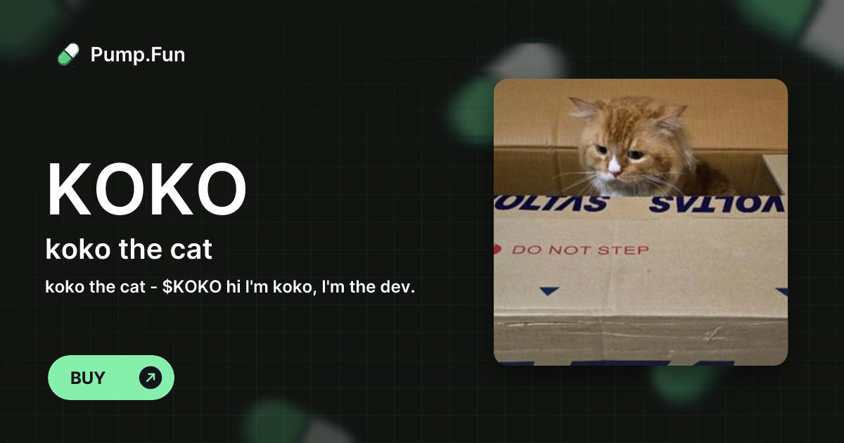 koko the cat (KOKO) - Pump