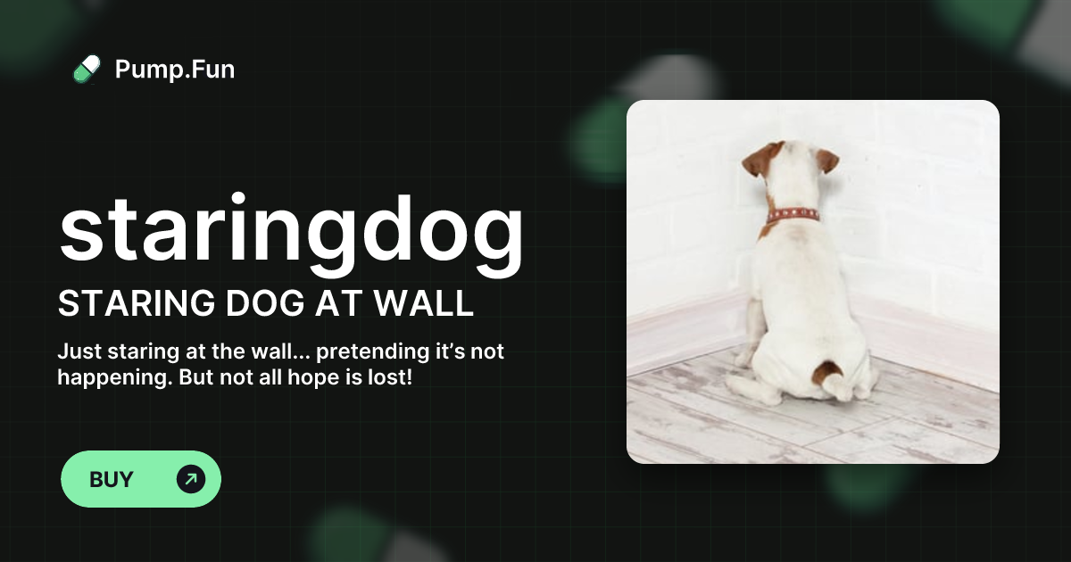 STARING DOG AT WALL (staringdog) - Pump
