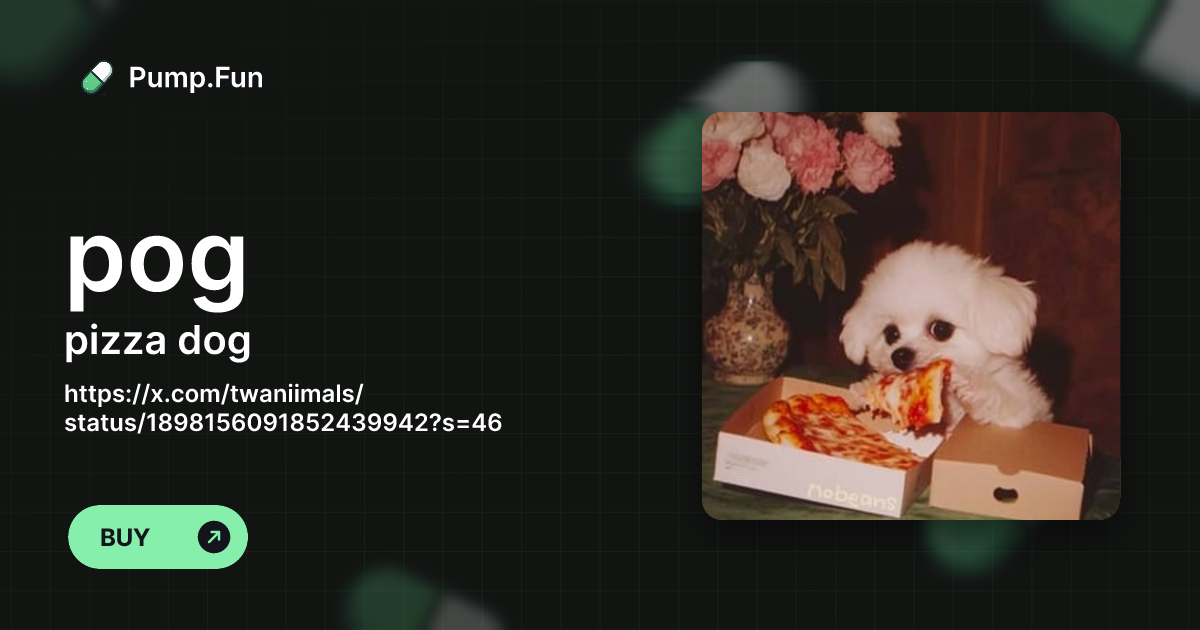 pizza dog (pog) - Pump