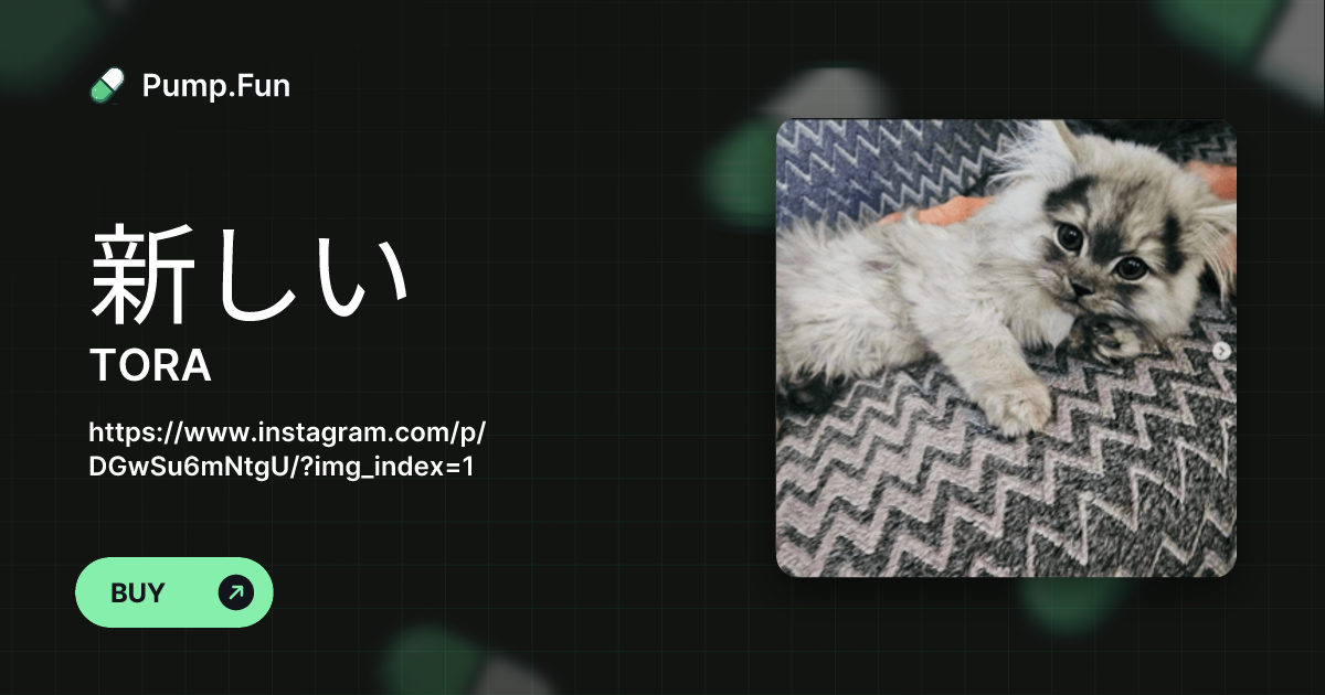 TORA (新しい) - Pump