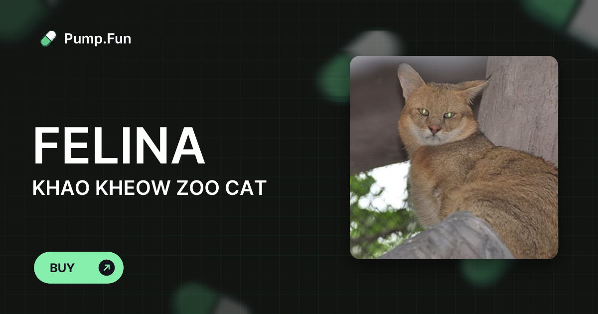 KHAO KHEOW ZOO CAT (FELINA) - Pump