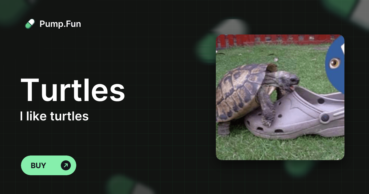 I like turtles (Turtles) - Pump