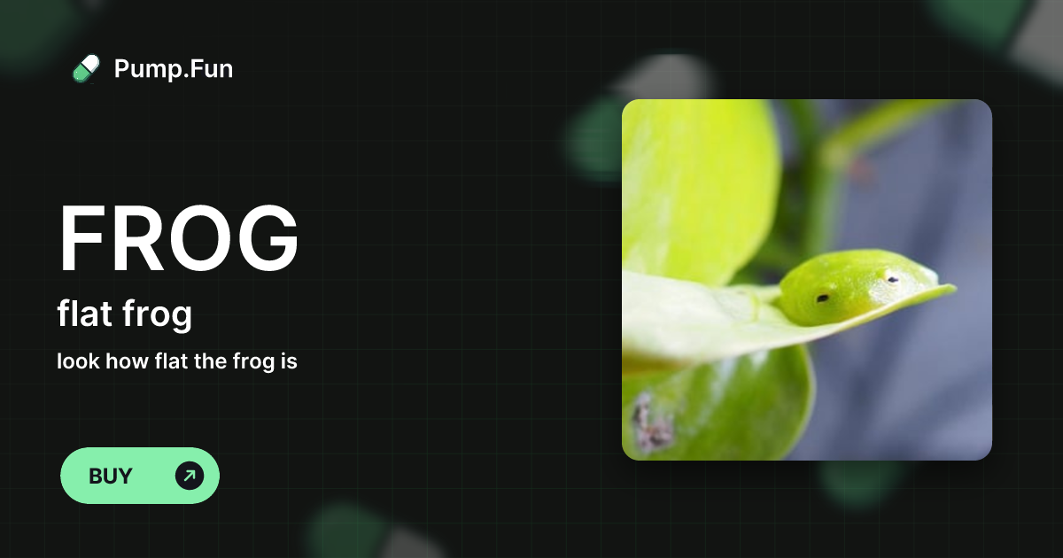 flat frog (FROG) - Pump