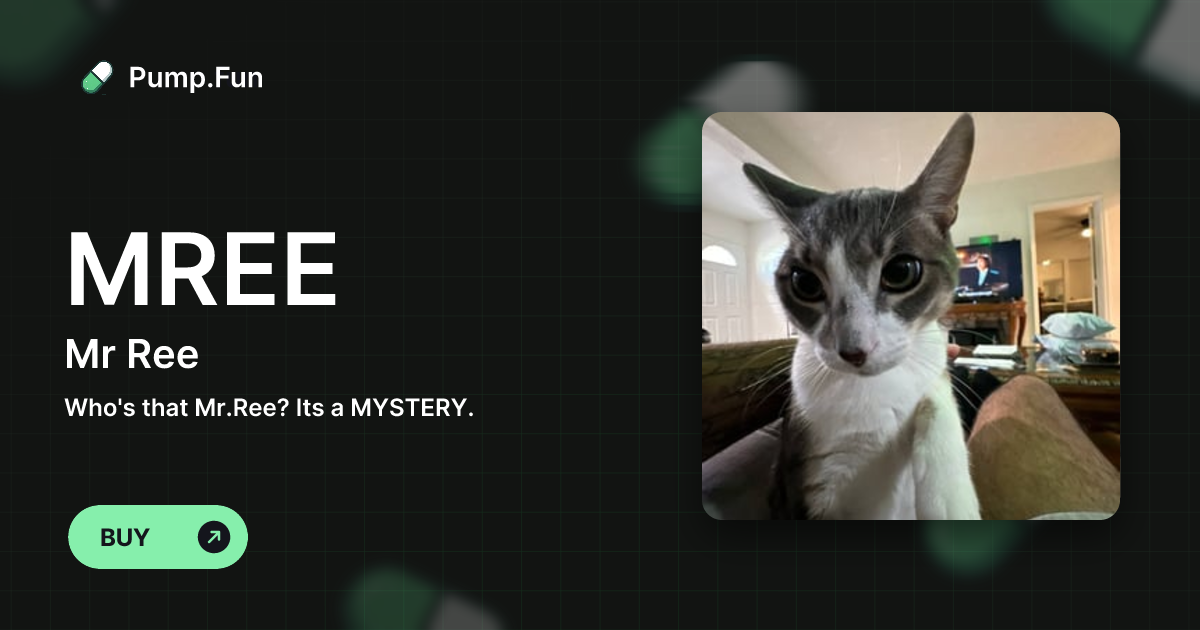 Mr Ree (MREE) - Pump