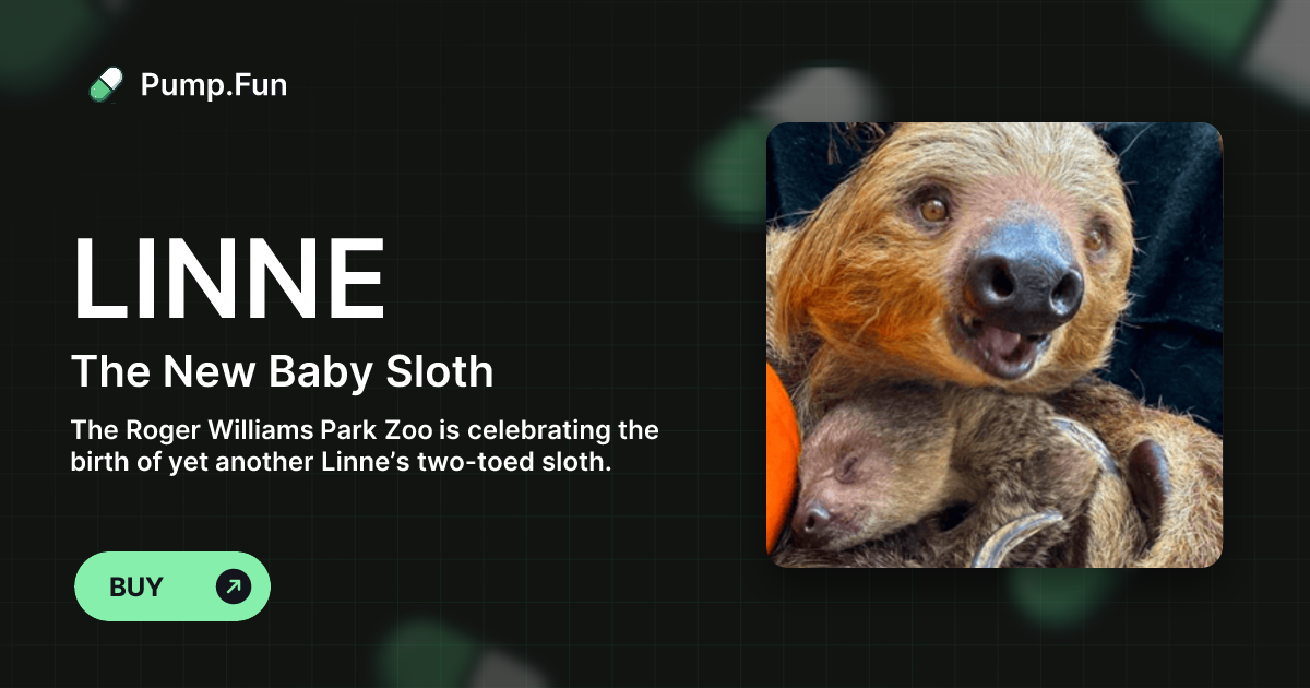 The New Baby Sloth (LINNE) - Pump