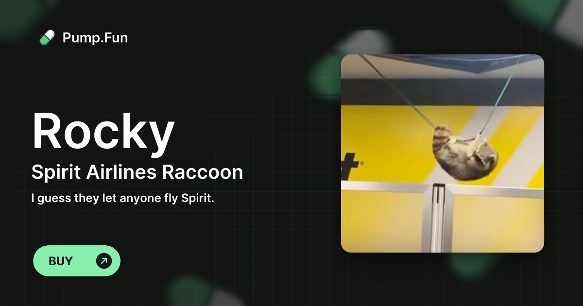 Spirit Airlines Raccoon (Rocky) - Pump