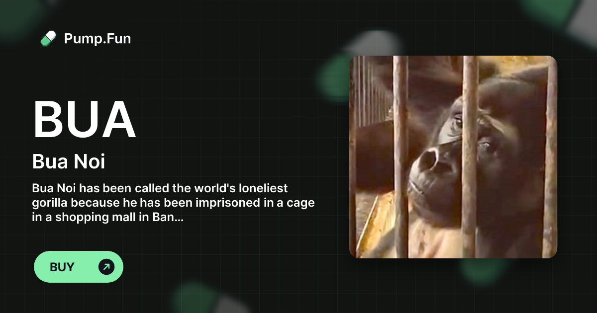 Bua Noi (BUA) - Pump