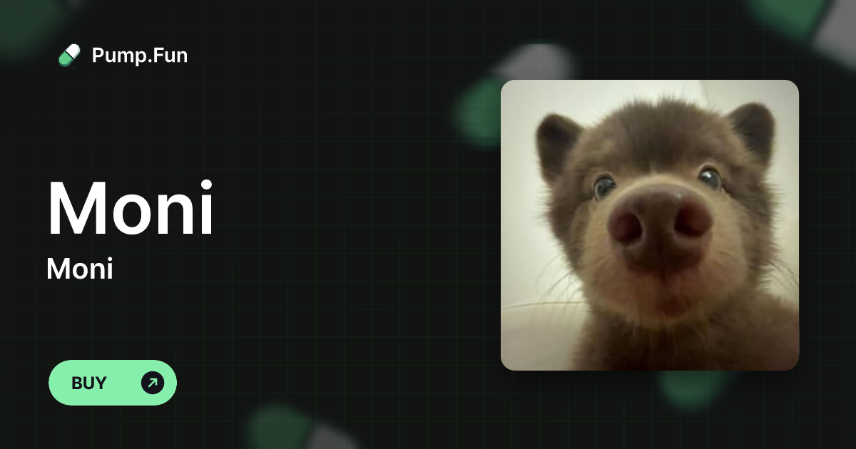 Moni (Moni) - Pump