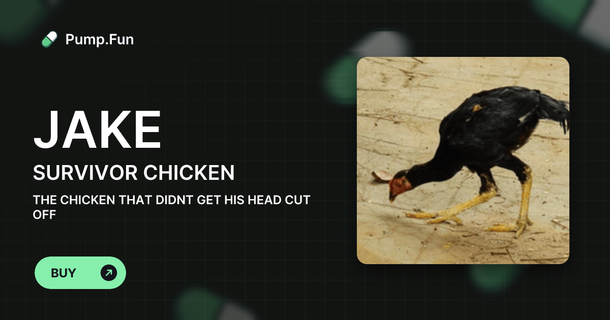 SURVIVOR CHICKEN (JAKE) - Pump