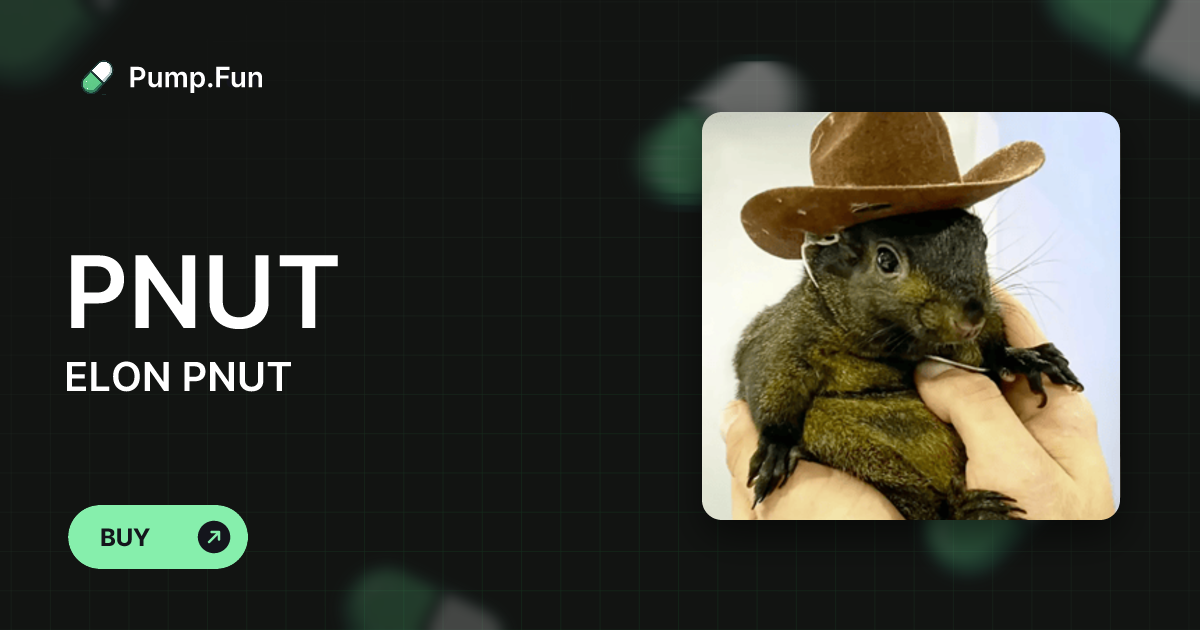 ELON PNUT (PNUT) - Pump