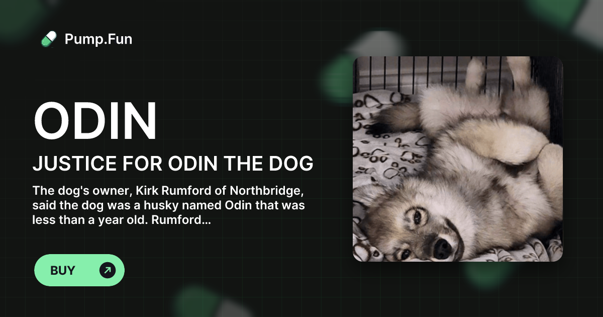 JUSTICE FOR ODIN THE DOG (ODIN) - Pump
