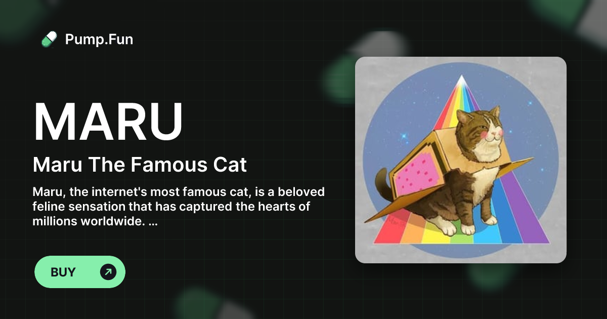 Maru The Famous Cat (MARU) - Pump