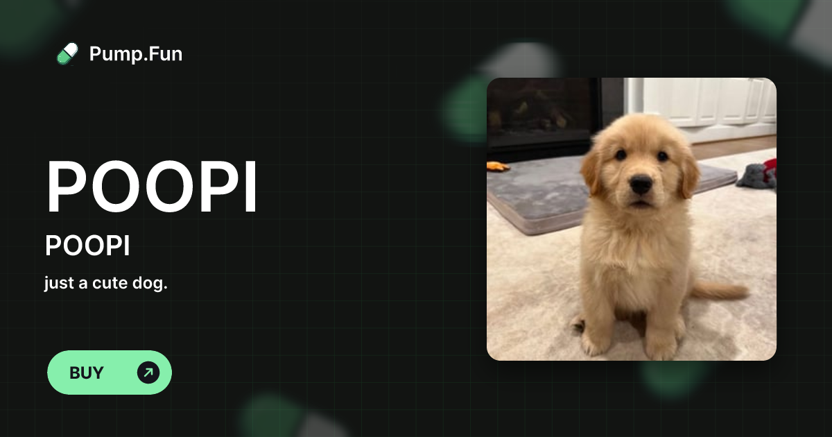 POOPI (POOPI) - Pump