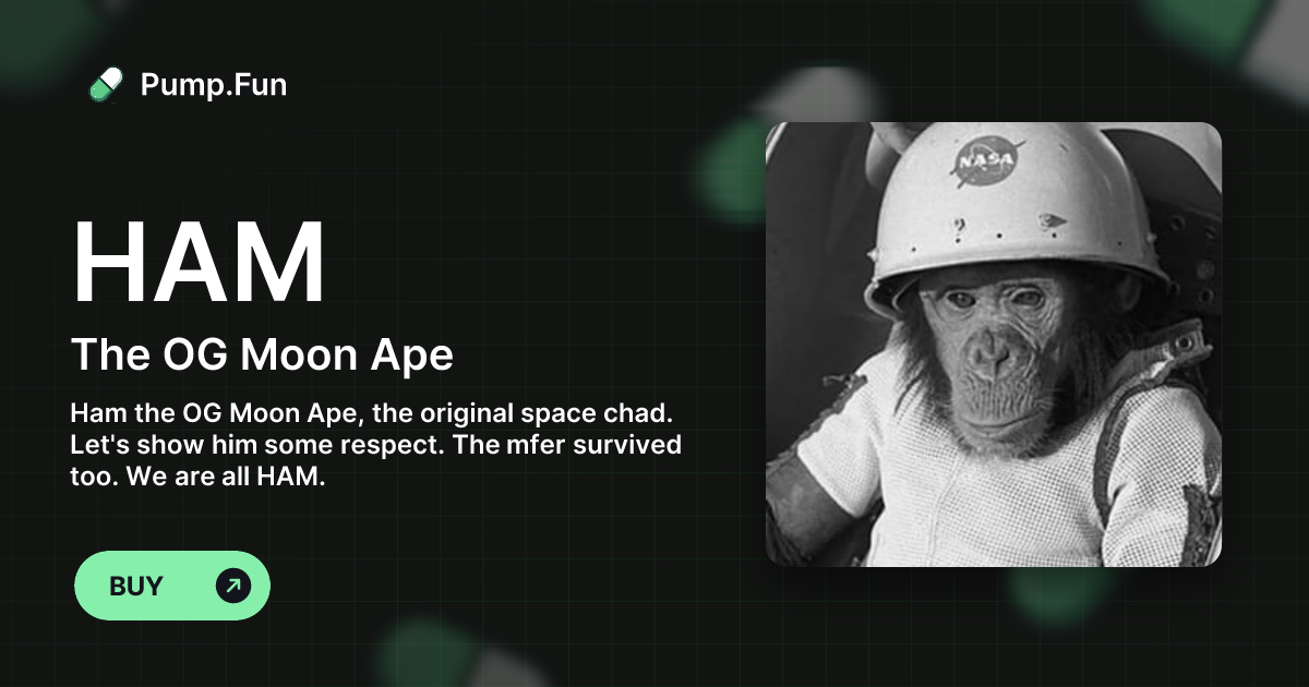 The OG Moon Ape (HAM) - Pump